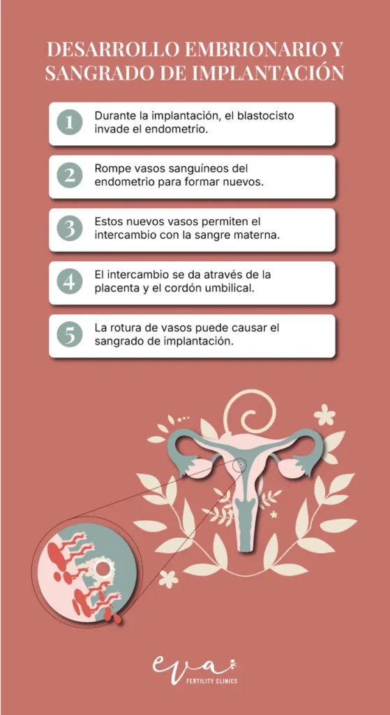 Sangrado De Implantación I Síntomas Color Duración Test